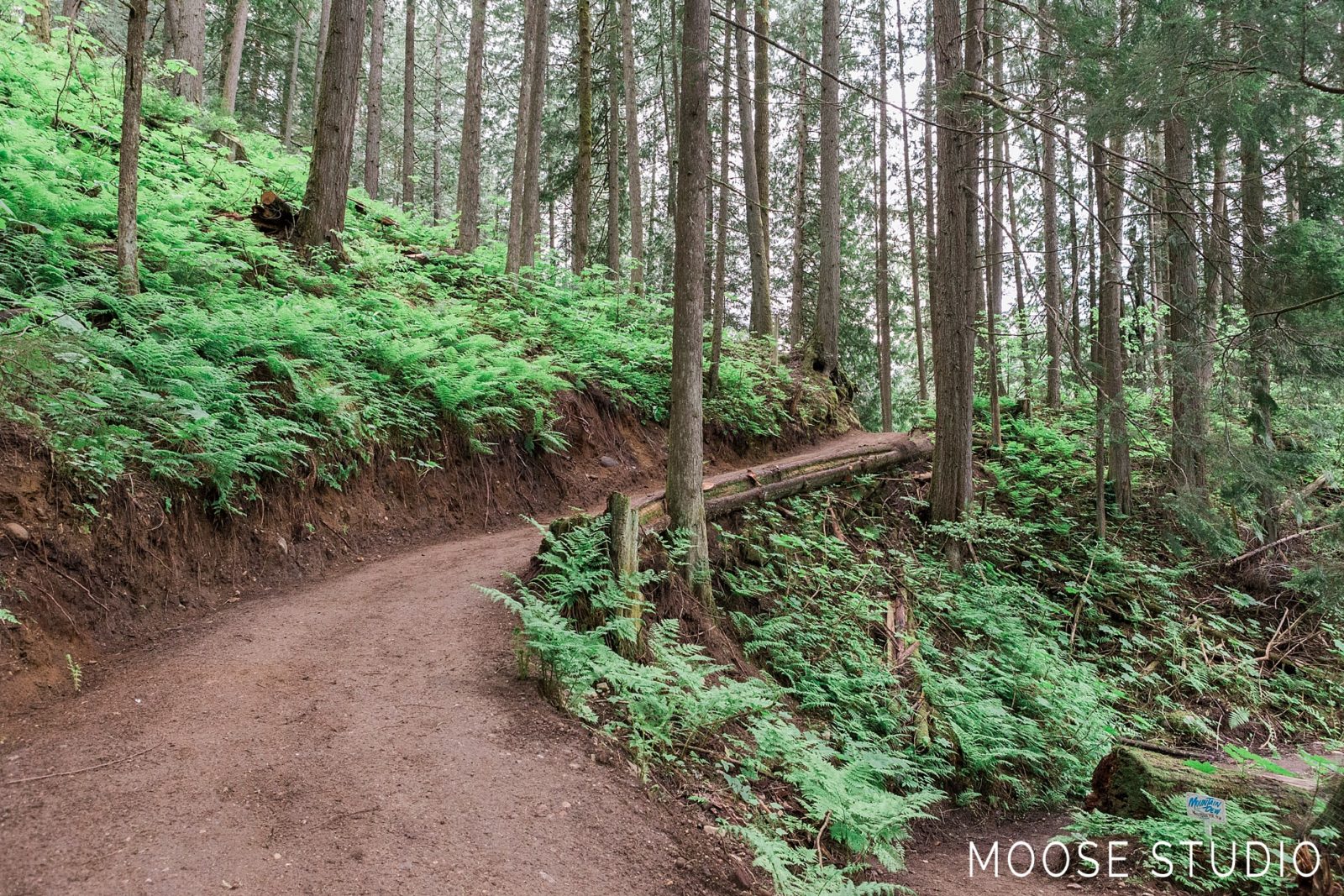 The Enchanted Forest In British Columbia, Canada