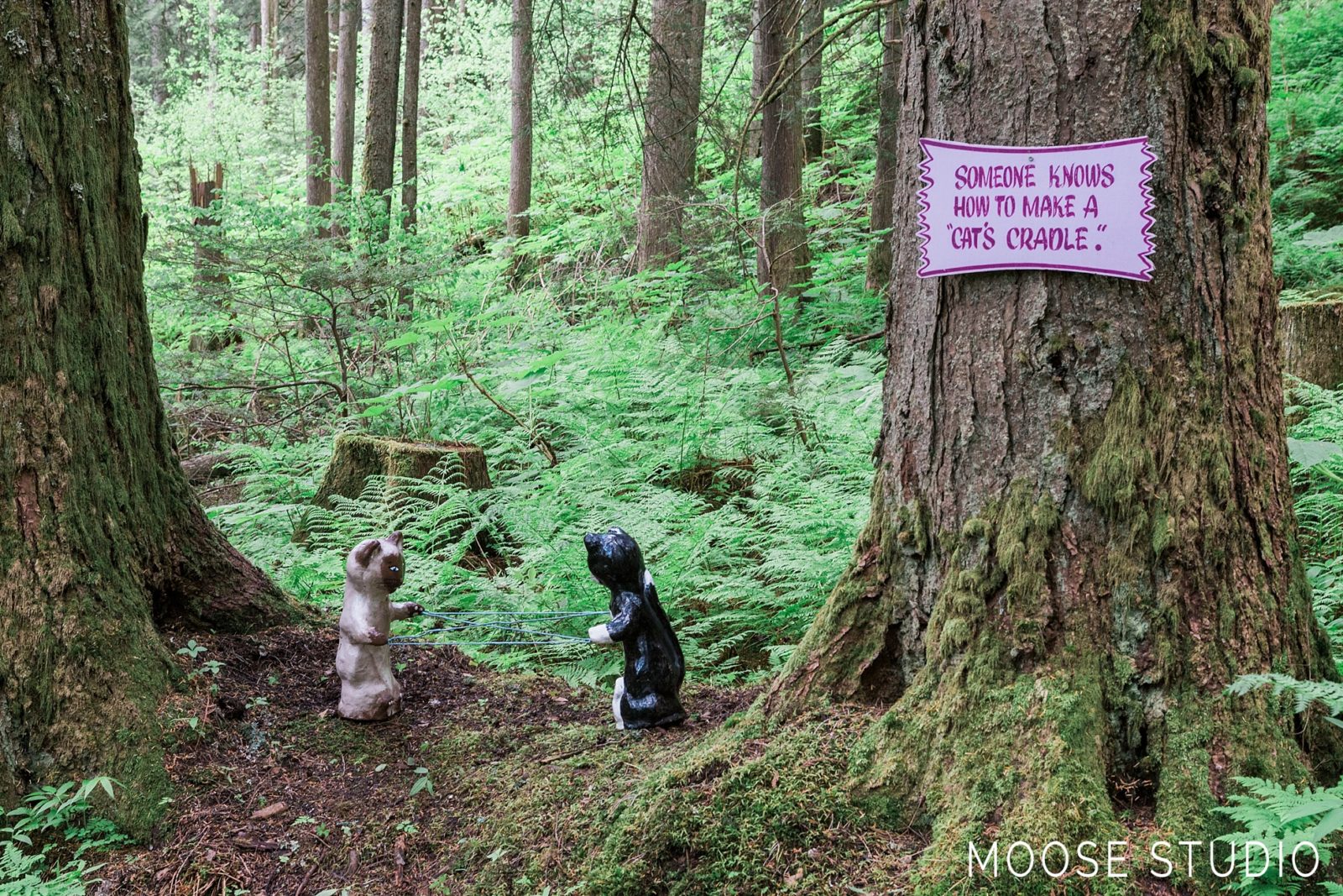 The Enchanted Forest In British Columbia, Canada